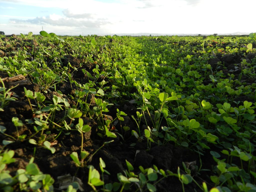 Farmland LP Answering Demand for Sustainable, Organic Food with ...